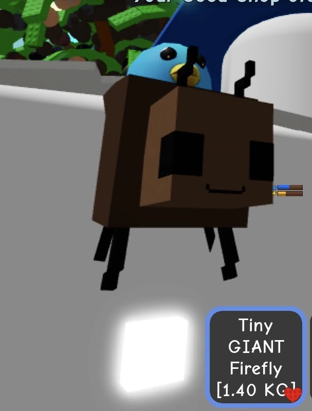 “Giant” firefly | Fandom