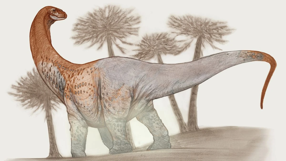 New sauropod discovered | Fandom