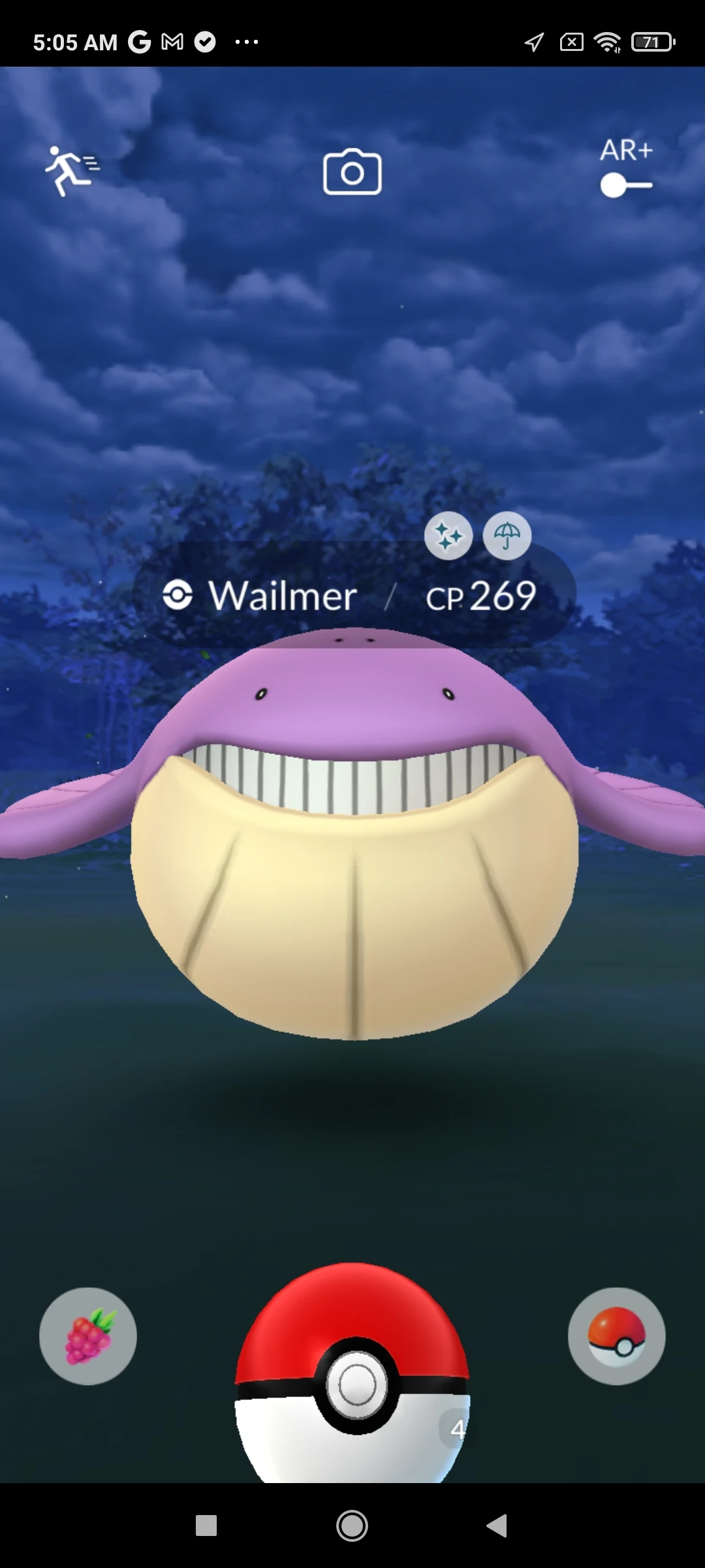 5 AM Shiny Wailmer! | Fandom