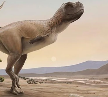 Discuss Everything About Dinopedia | Fandom