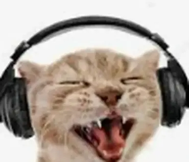 Tbh should I show my g&b ocs | Fandom