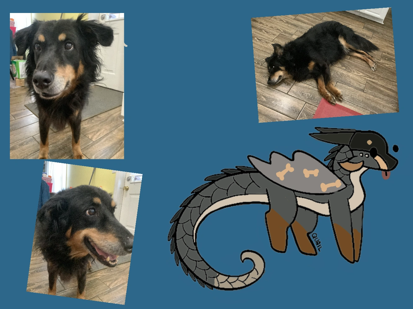 Morning wiki Basefill time! | Fandom