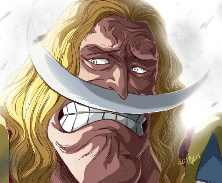 (THE ONE PIECE IS REAL!) The Roblox Reworked Whitebeard Experience | Fandom