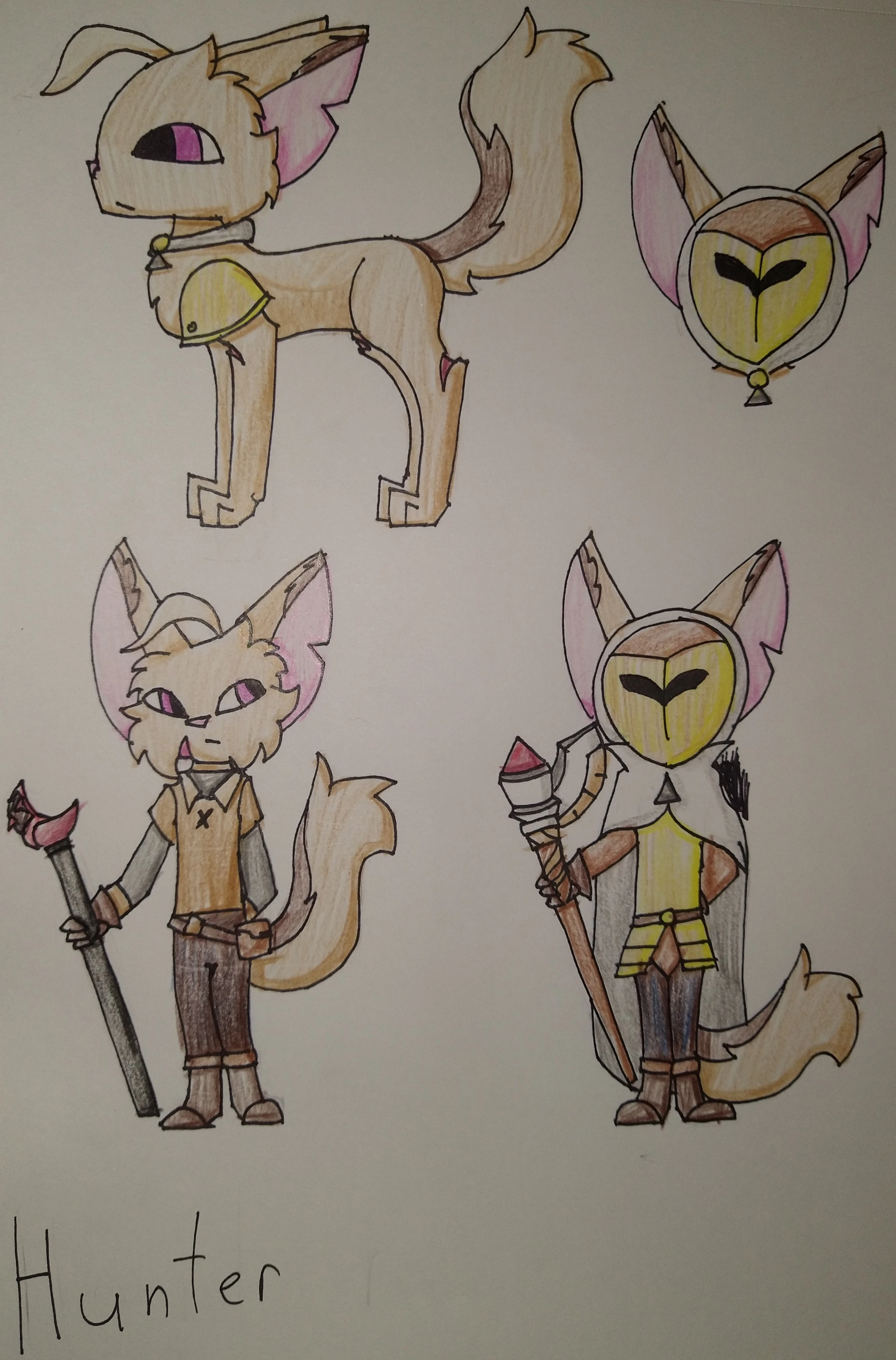 Hunter Designs | Fandom