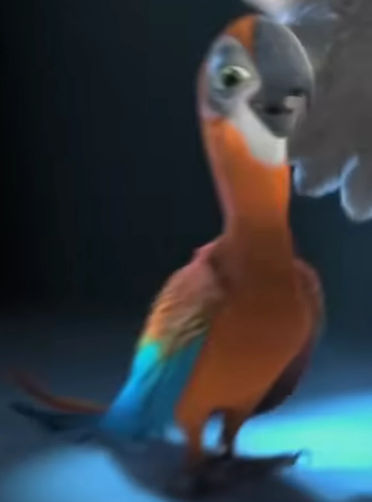 Discuss Everything About Rio Wiki | Fandom