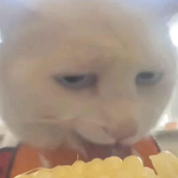 Discuss Everything About Creatures of Sonaria Wiki | Fandom