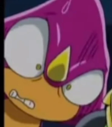 Best member of the Chaotix? | Fandom