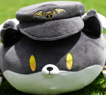 Discuss Everything About Kirby Wiki | Fandom