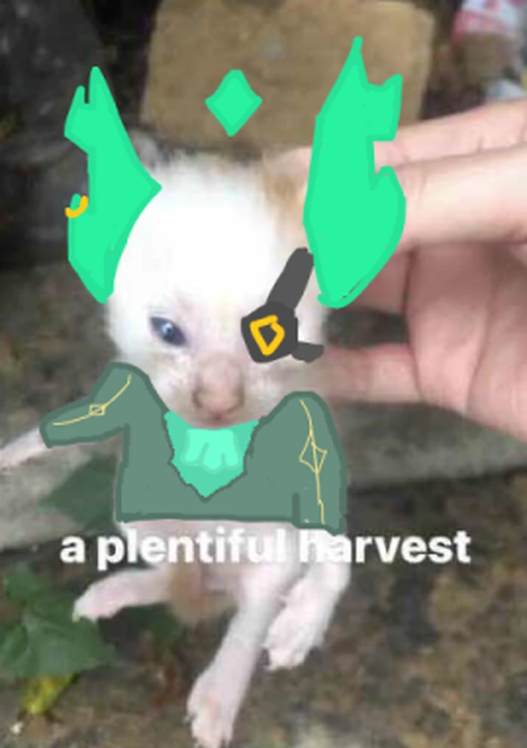 CANON VS OC PART 1: RND (canon) VS HEBI (OC) (check comments for info) | Fandom