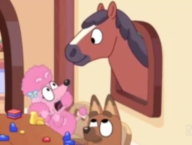 Look at Coco's face! 😂😂😂😂😂😂😂😂😂😂 | Fandom