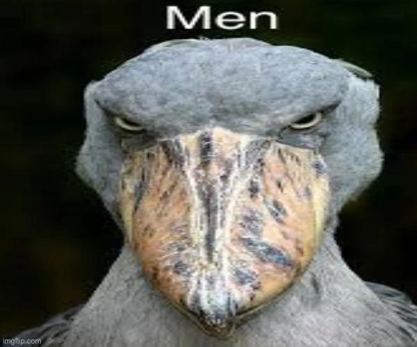 *concrete sliding sound effect* | Fandom