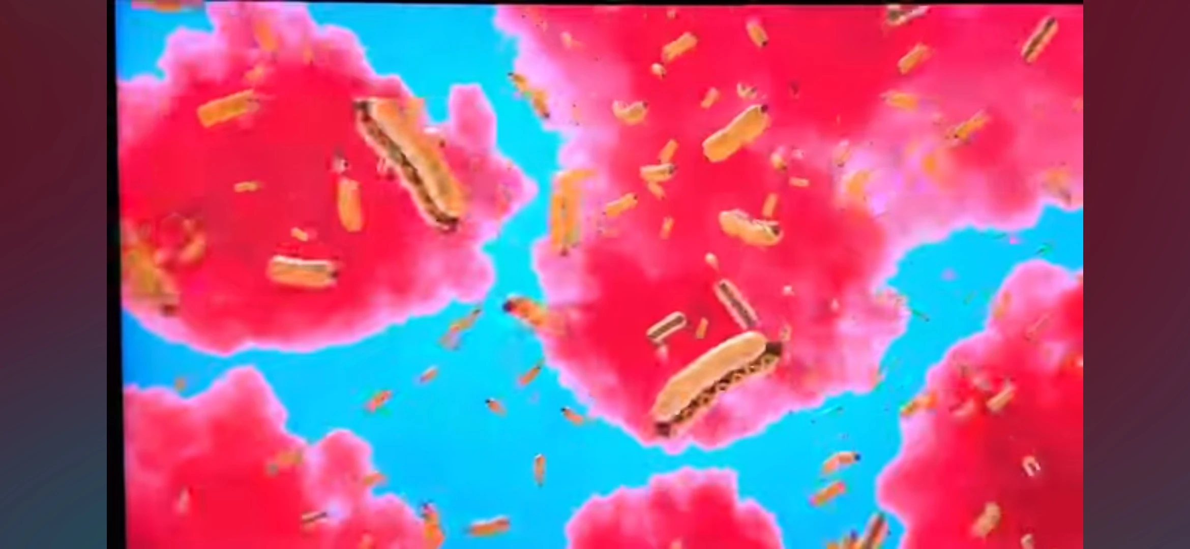 It's raining hotdogs Hallelujah its raining hotdogs!🤣😹🌭 | Fandom