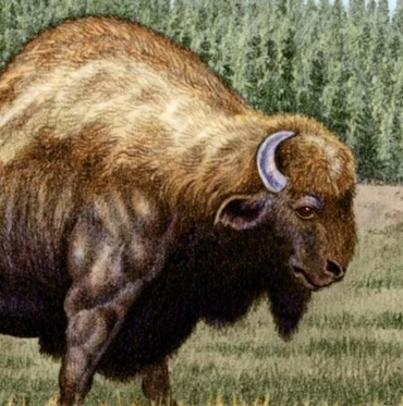 Dinopedia makes a Cenozoic Zoo game: Bovidae (top 2 get added) | Fandom