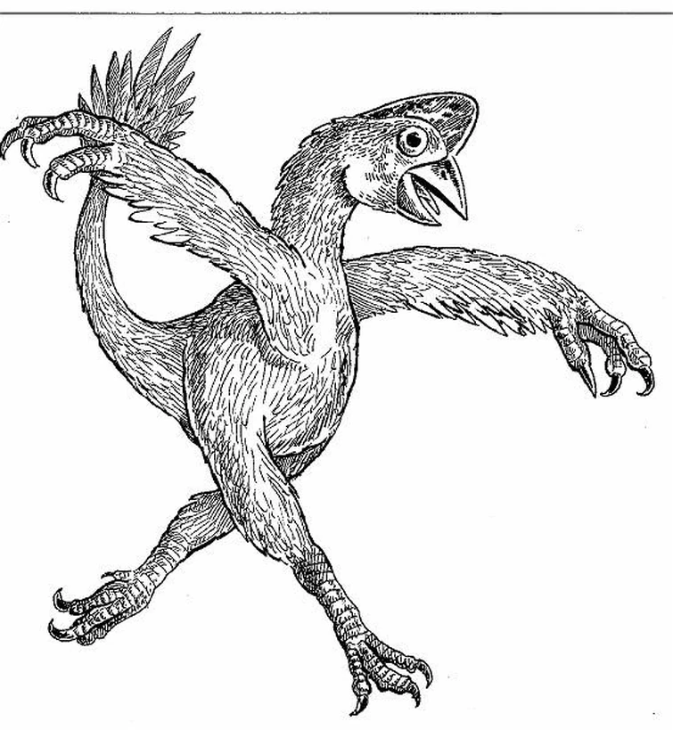 Discuss Everything About Dinopedia | Fandom