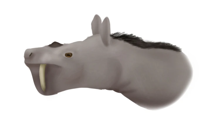 Bathyopsis | Fandom