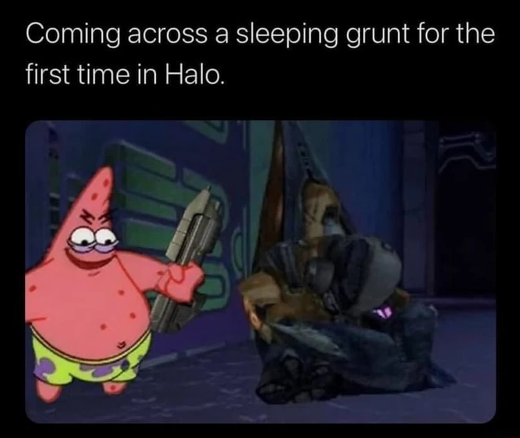 Daily Halo memes pt. 1 (im gonna do these now) | Fandom