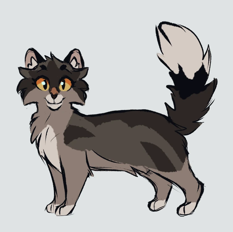 The new cats in Midnight (and the ones that changed ranks) | Fandom