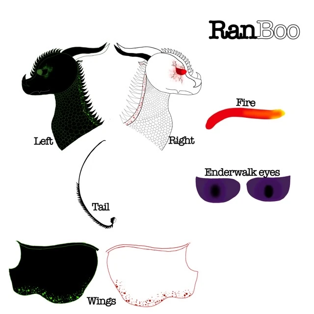 DSMP characters as dragons part 2: C!Ranboo | Fandom