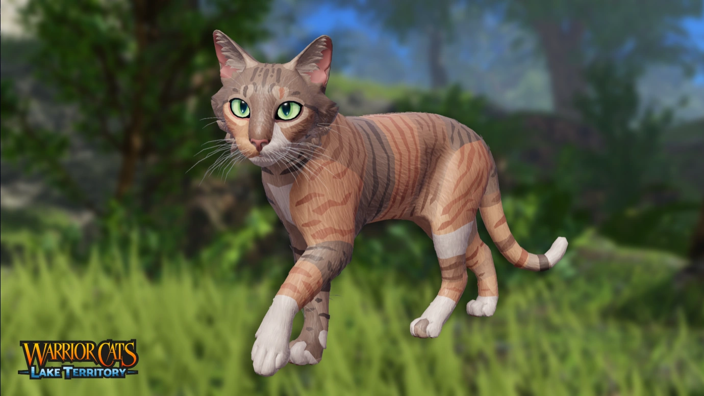 More WC:LT information | Fandom