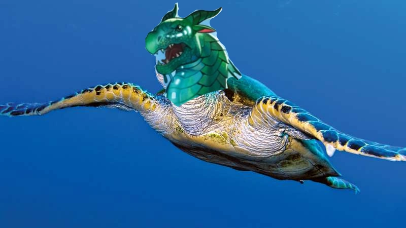 wHoa IrL tUrtLE- | Fandom