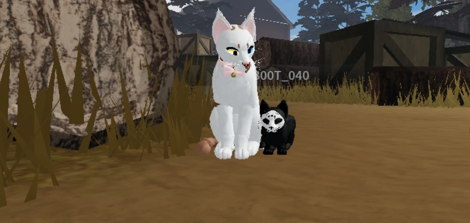 Soot photos :) | Fandom