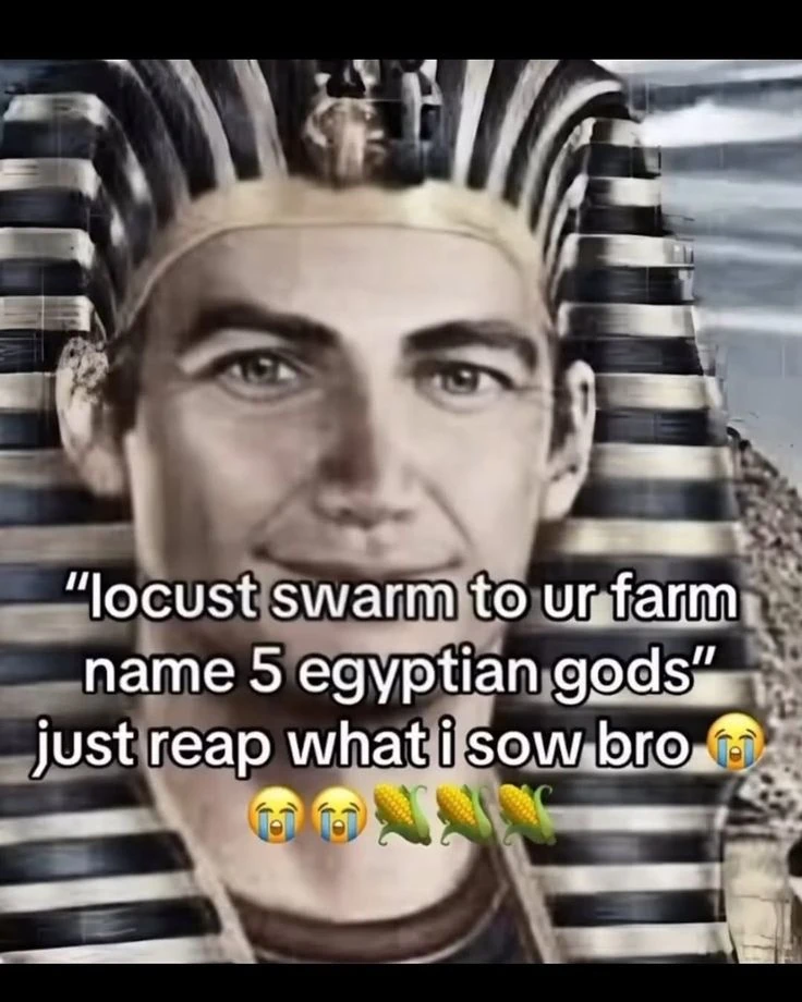 Hi y'all, Kinda tweaking out as it's 3 am and I have not sleep at at ...