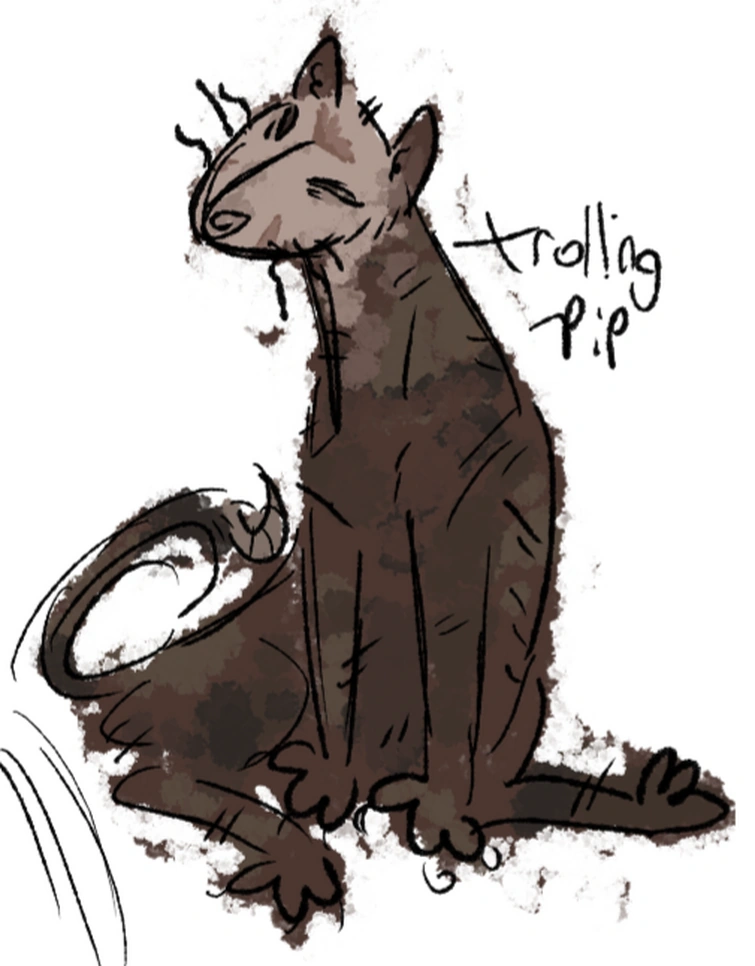 Whatever. Go my jason and chance cats | Fandom