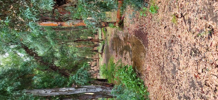 Just three days ago it was 104F and now there's a hurricane; classic ...