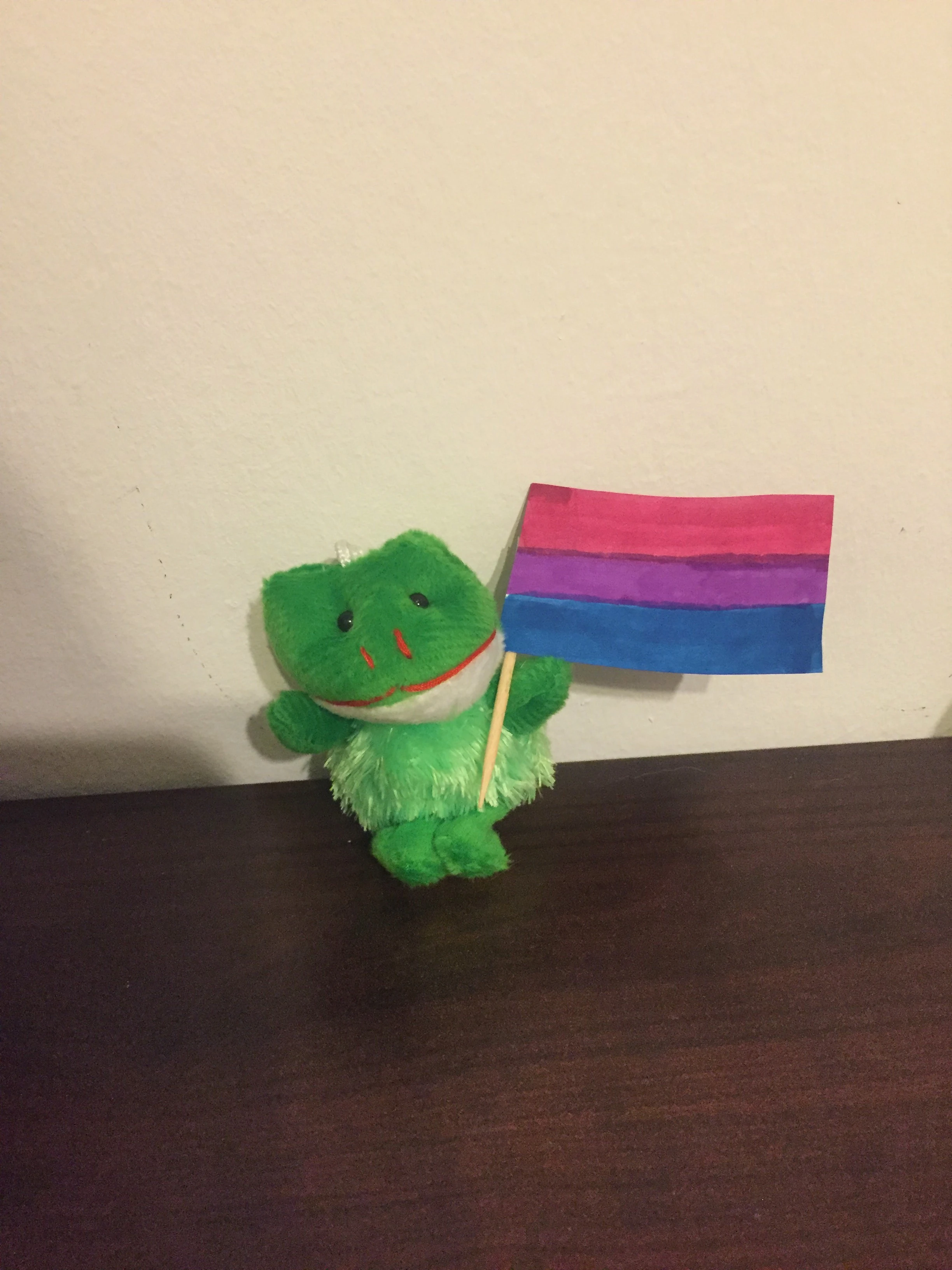froggo plushie with bi flag 💅 | Fandom