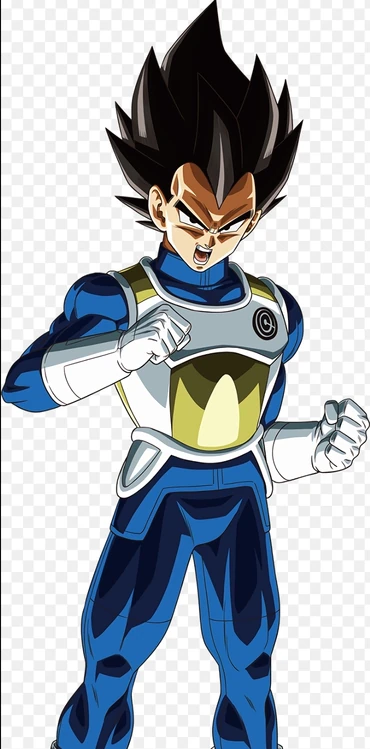 Which Vegeta Outfit Is Your Favorite? | Fandom