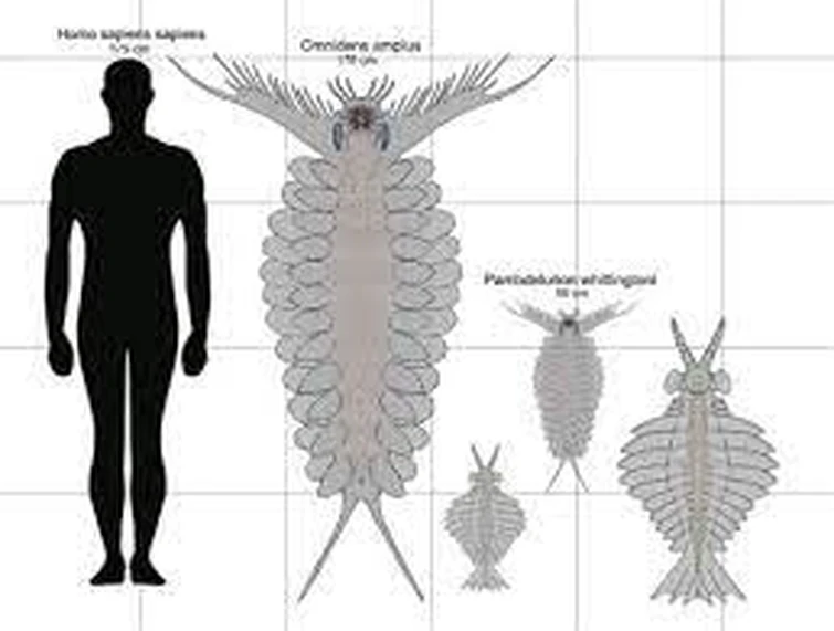 Creative Help | Fandom