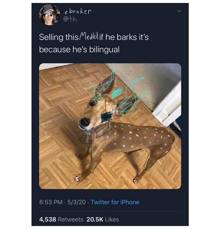 selling this dog | Fandom