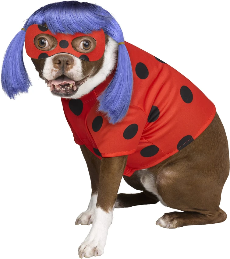 was browsing for fanmade costume designs and came across this. | Fandom