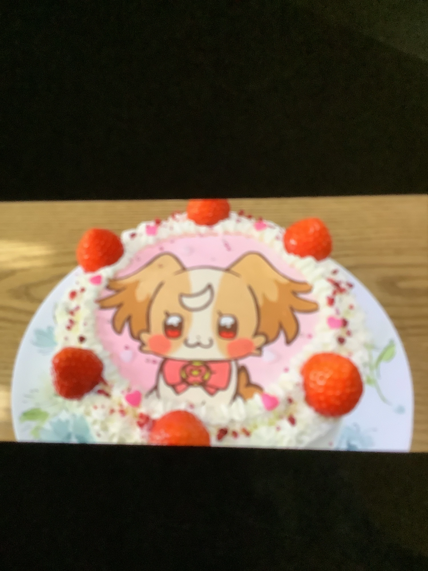 Dog komugi cake | Fandom