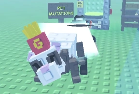 TRADING RAINBOW FFF | Fandom