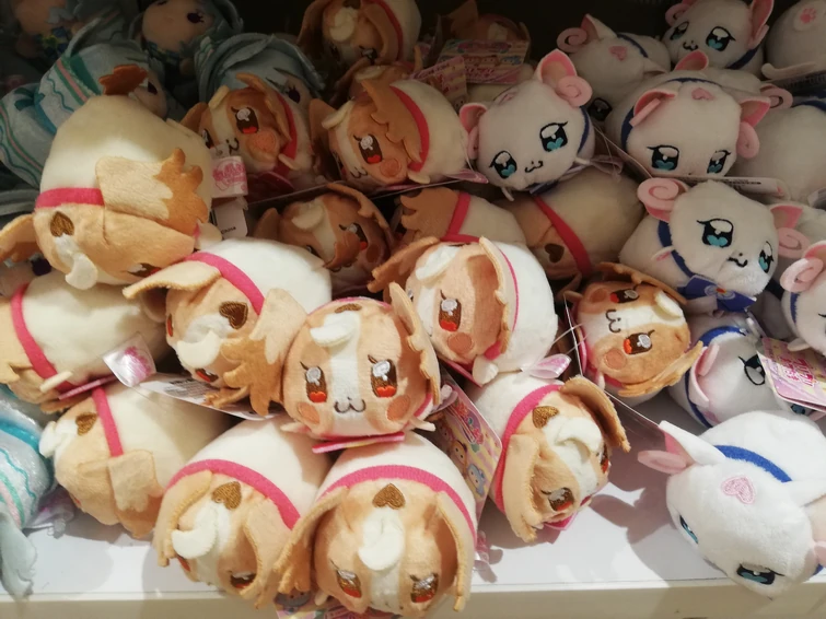 Discuss Everything About Pretty Cure Wiki | Fandom