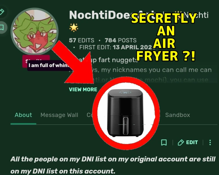 SECRETELY AN AIR FRYER ?! | Fandom