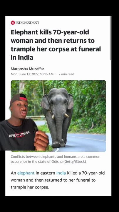 shiho and tsukasa (Shiho is the elephant) | Fandom