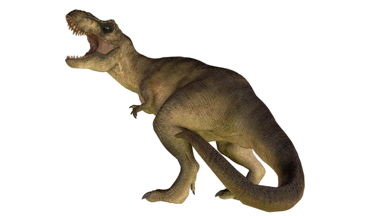 ¿Quién gana Fang o Rexy (de joven)? | Fandom