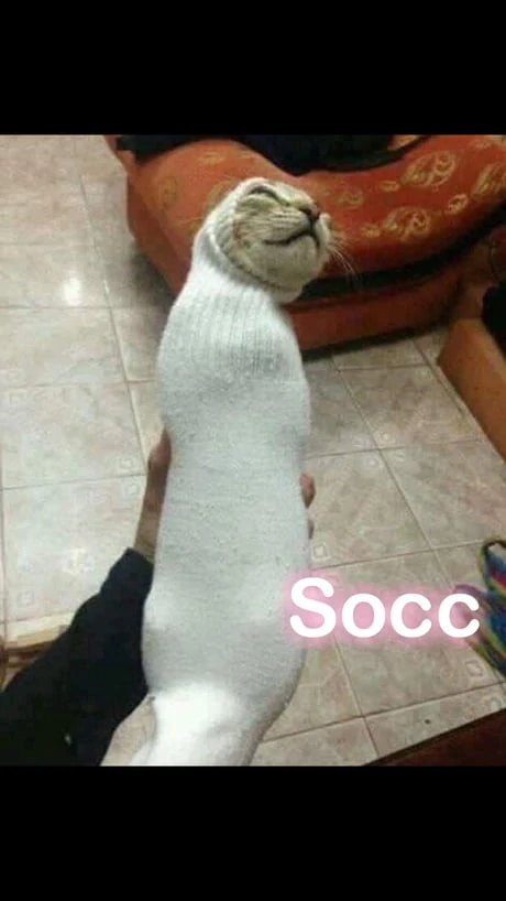 Should this be a weapon in arsenal? | Fandom