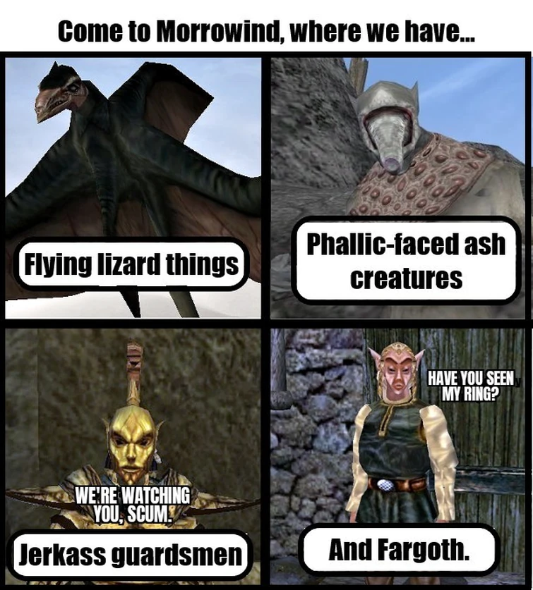 Elder Scrolls memes. | Fandom