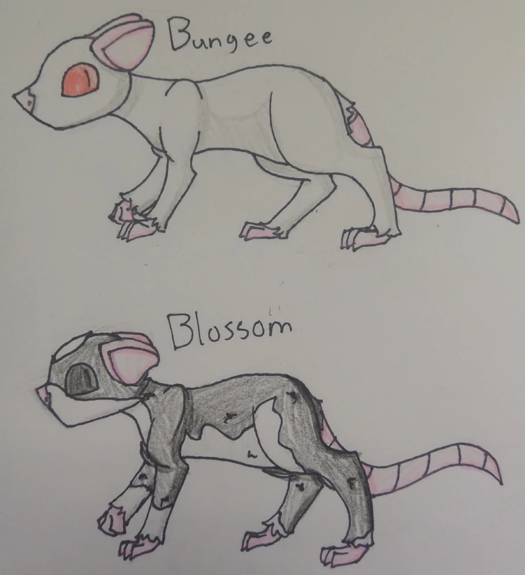 Discuss Everything About Splatoon Wiki | Fandom