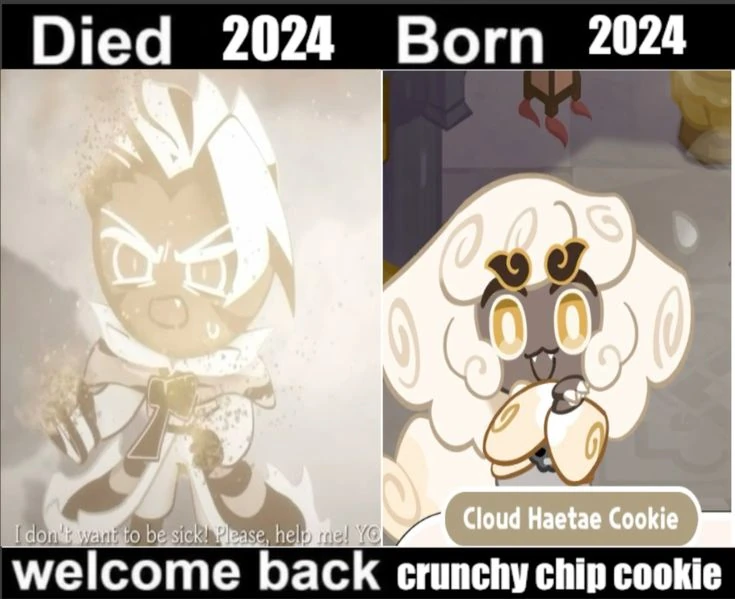 Silly silly chip | Fandom