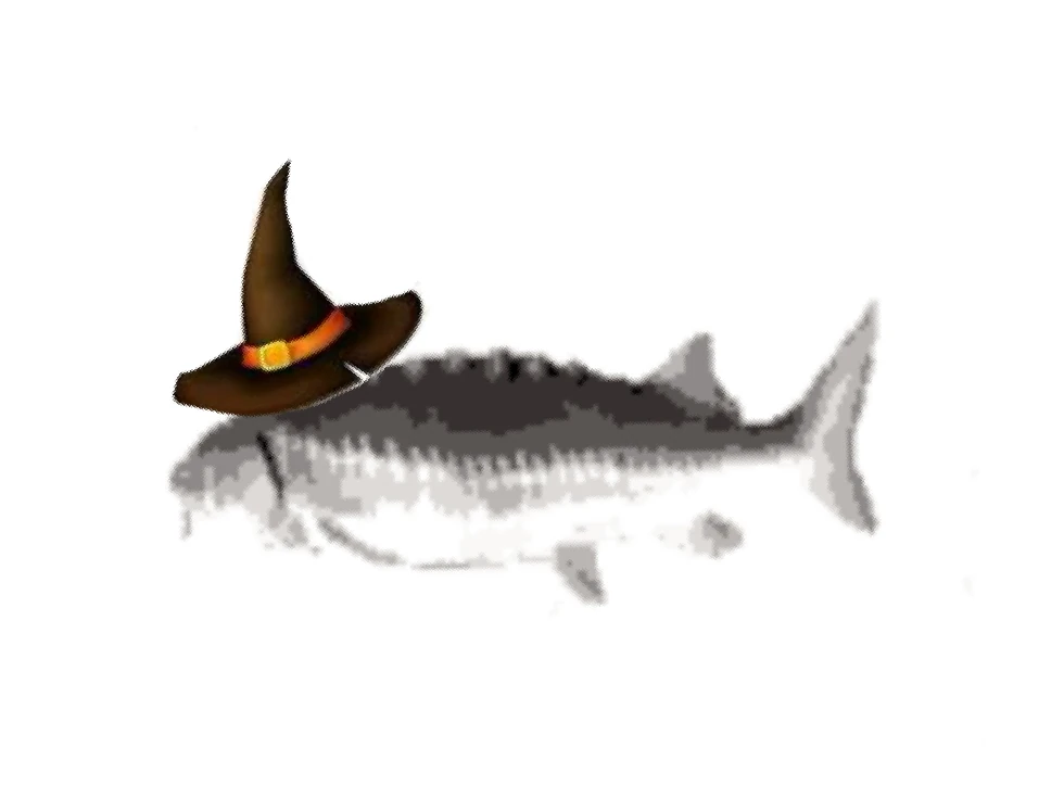 New spooky pfp🥰🐟 | Fandom
