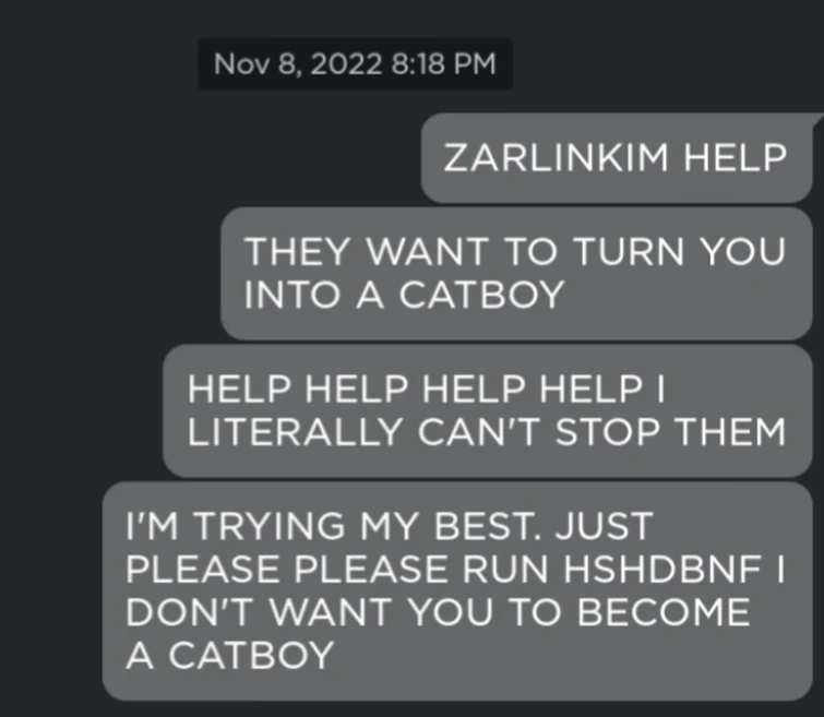 have we stopped with the zarlinkim catboy thing | Fandom