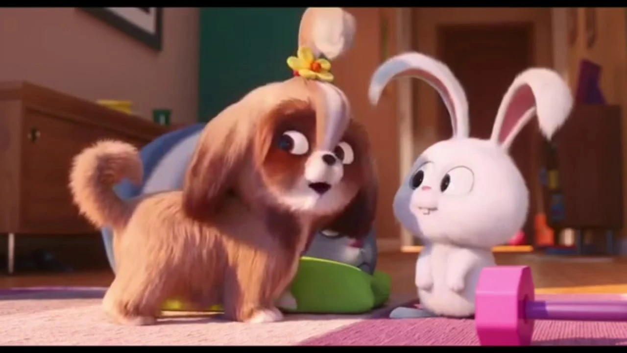 Snowball X Daisy and Max X Gidget ship video | Fandom