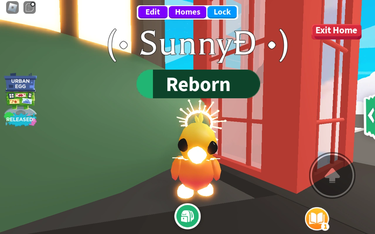 My silly little sunrise duckling | Fandom