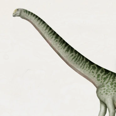 Discuss Everything About Dinopedia | Fandom