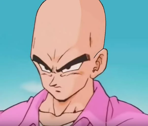 Vegeta without hair | Fandom