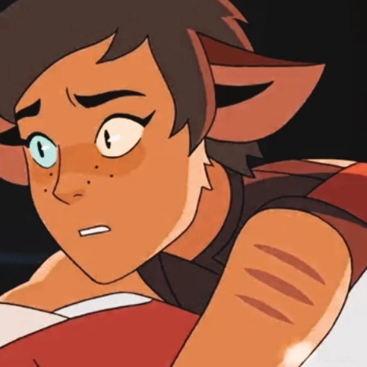 matching pfps (she-ra edition) | Fandom